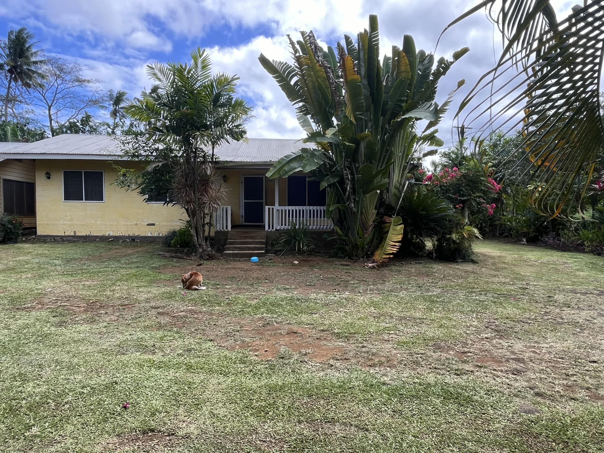 Real Estate Samoa